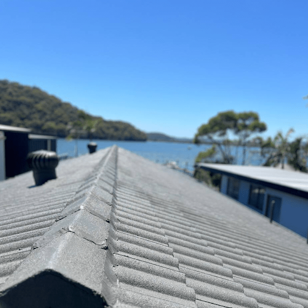 Top Signs Your Roof Needs Repainting in NSW | Expert Roof Painting ...